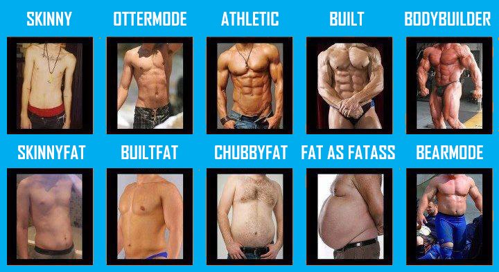 Body Types Ottermode