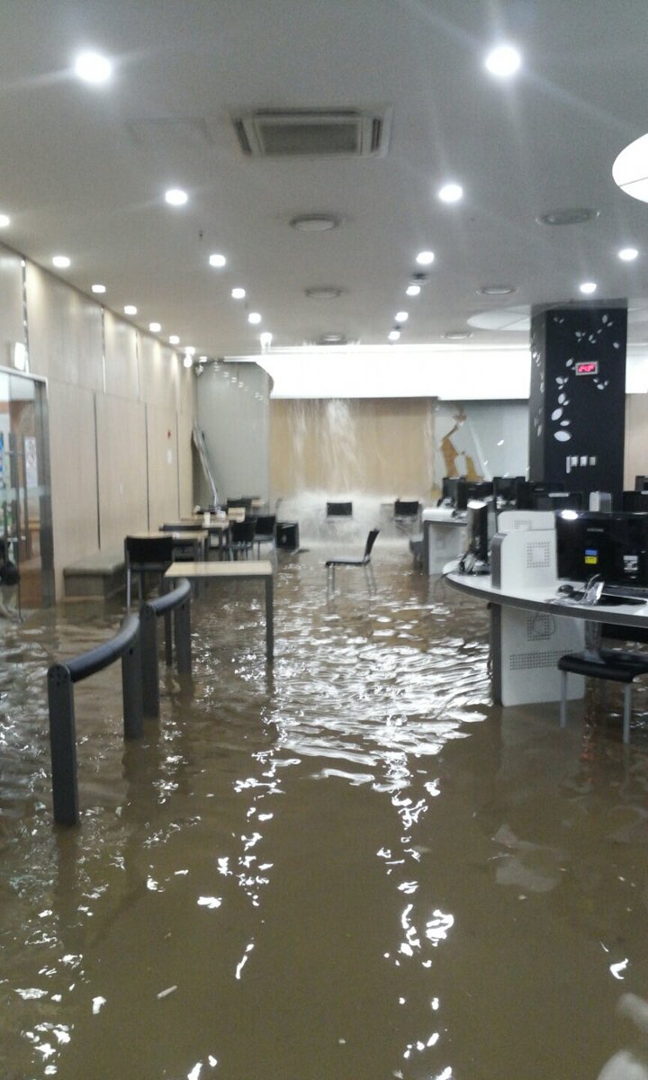 メタル (@Metal_dgrp) | Twitter