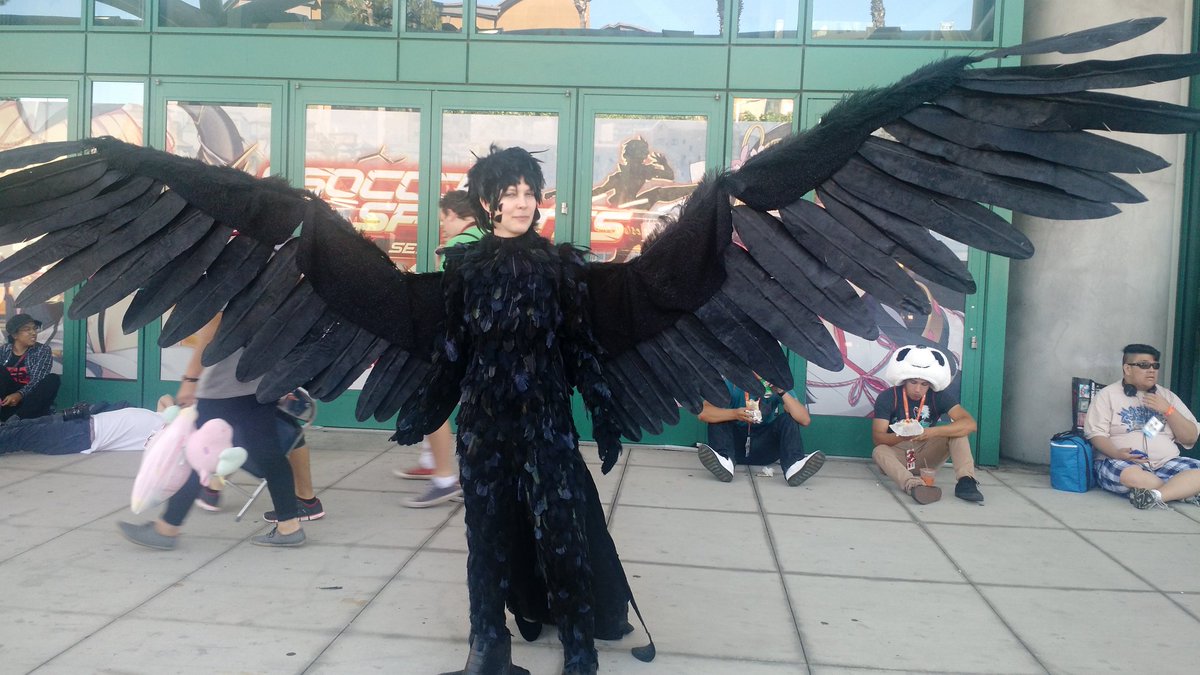 Howl Bird Cosplay