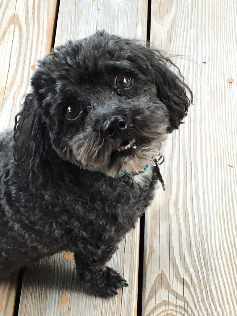 Jimbo666 - Best photos on dibujosparaimprimir.net