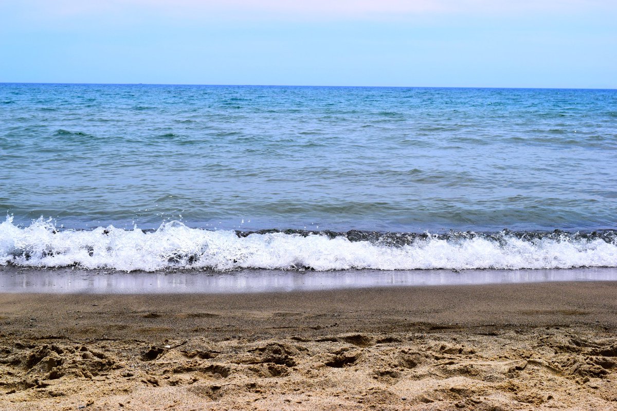 Lavinia Frezza (@lavicatz) | Twitter