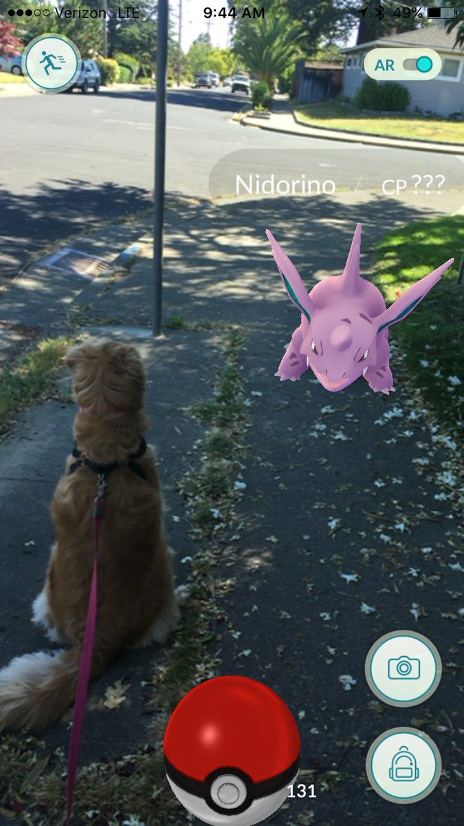 Do you need a rear-facing camera for Pokemon Go? | Pokémon Universe