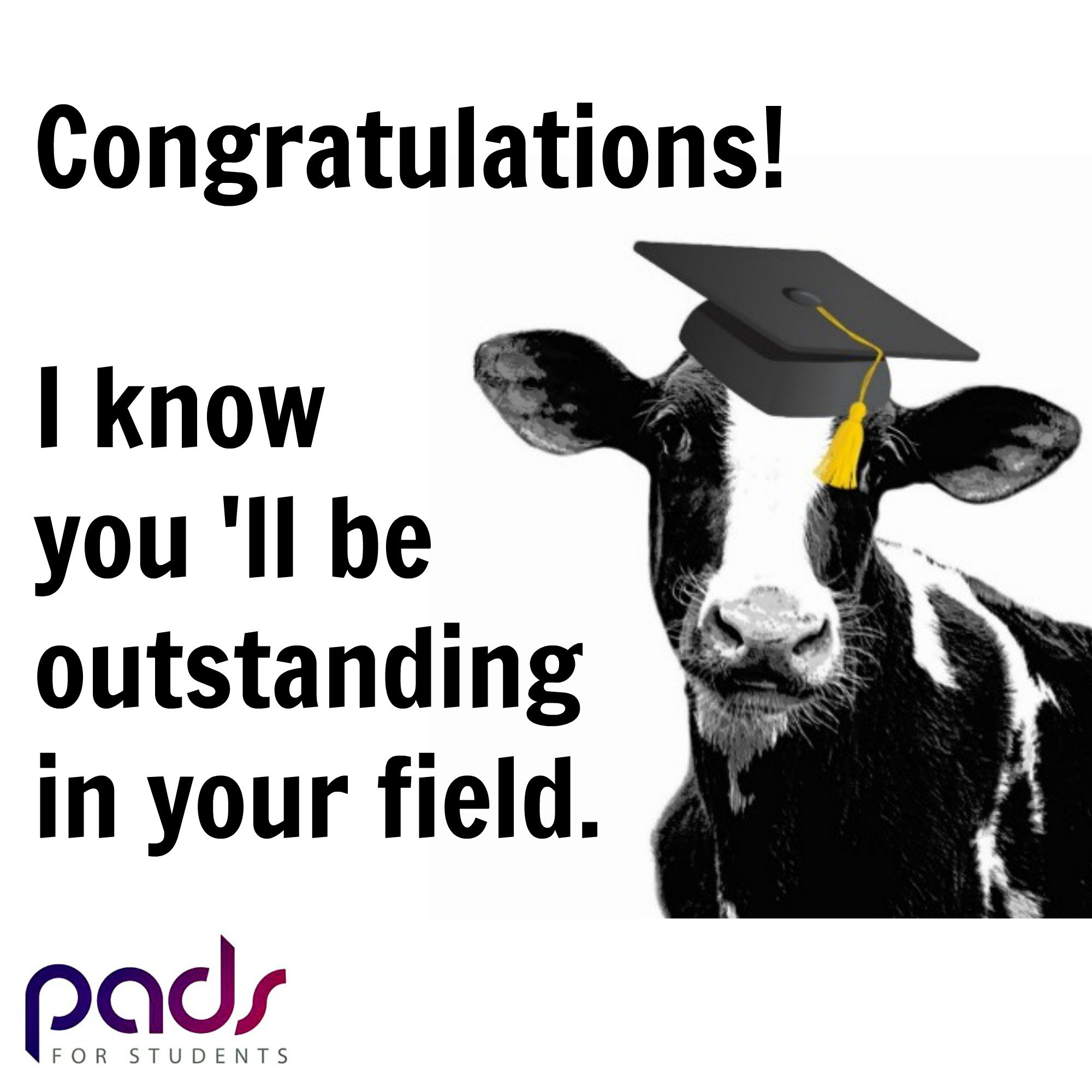 Congrats Funny Animal