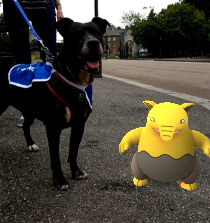 Drowzee (@Drowzee0) | Twitter