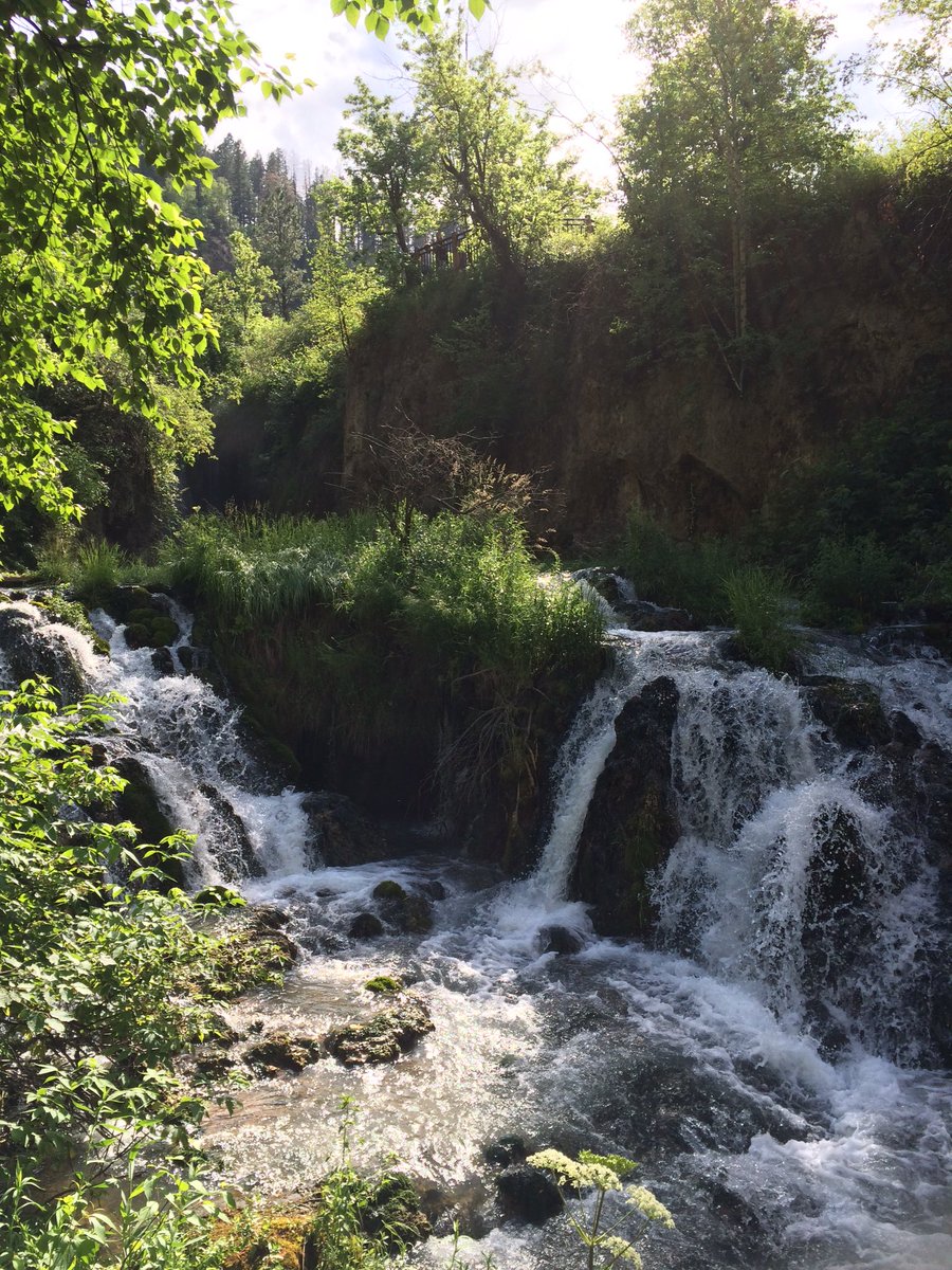 Devyn McDonald (@devyn_mcdonald) | Twitter