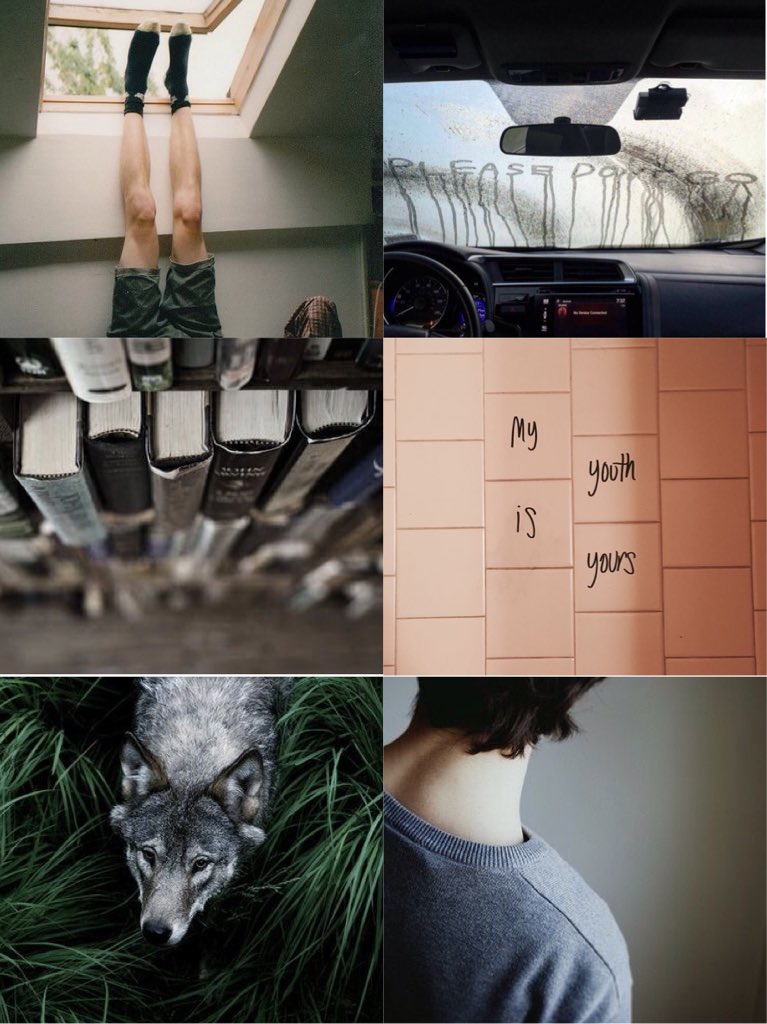 Wolves Of Mercy Falls Sam