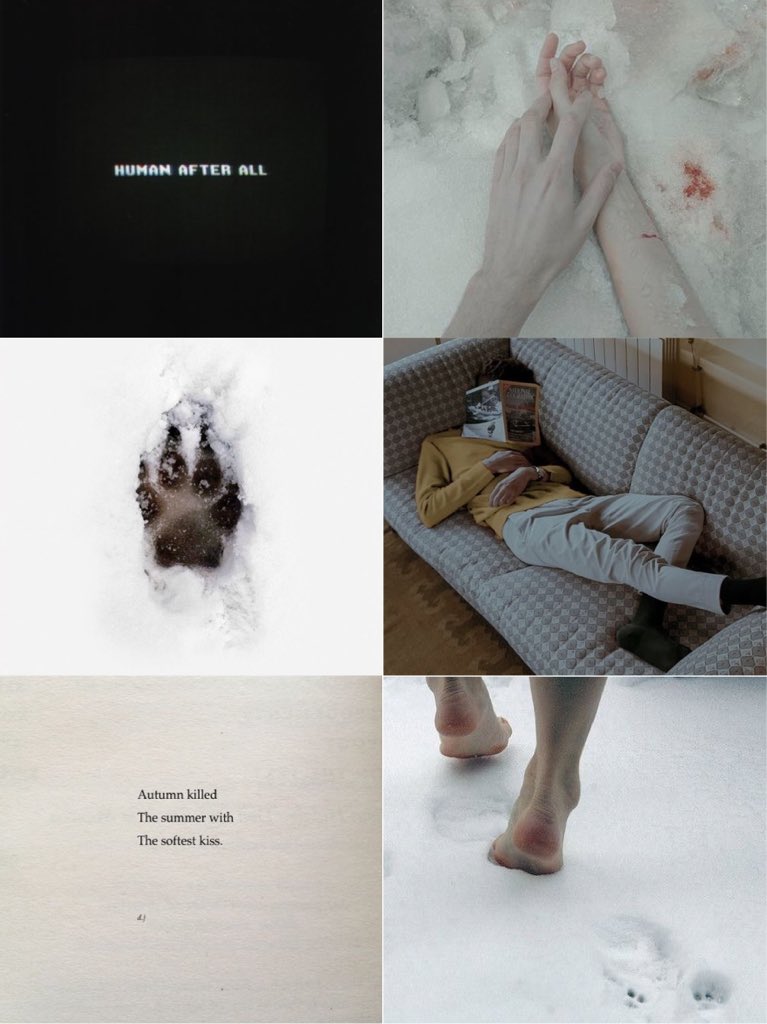 Wolves Of Mercy Falls Sam