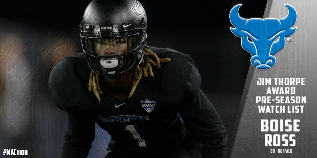 The Road Back To Buffalo - Boise Ross - Bull Run