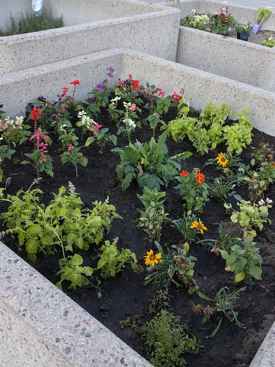 Stephanie Wilde (@swilde_one) | Twitter