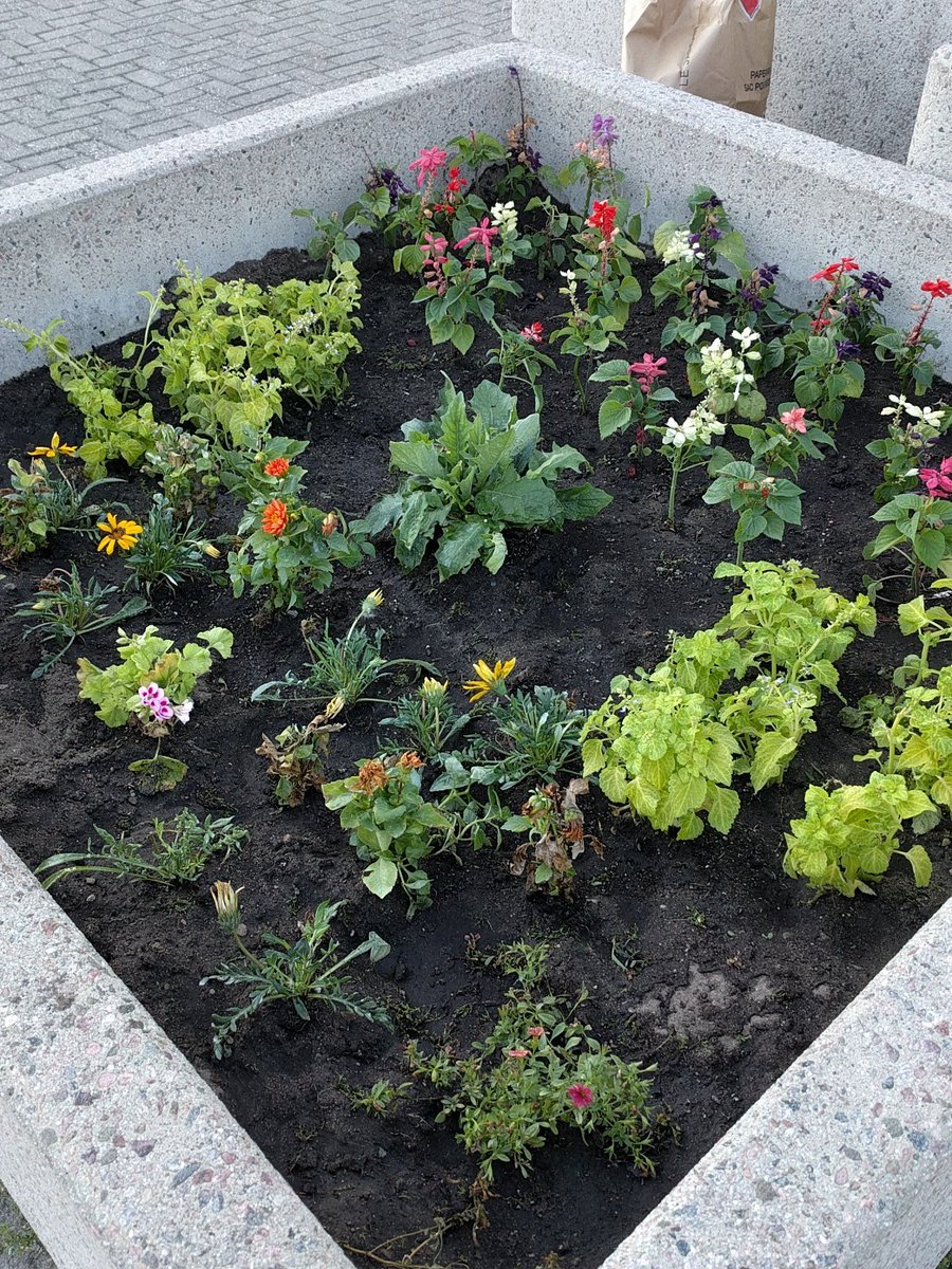 Stephanie Wilde (@swilde_one) | Twitter