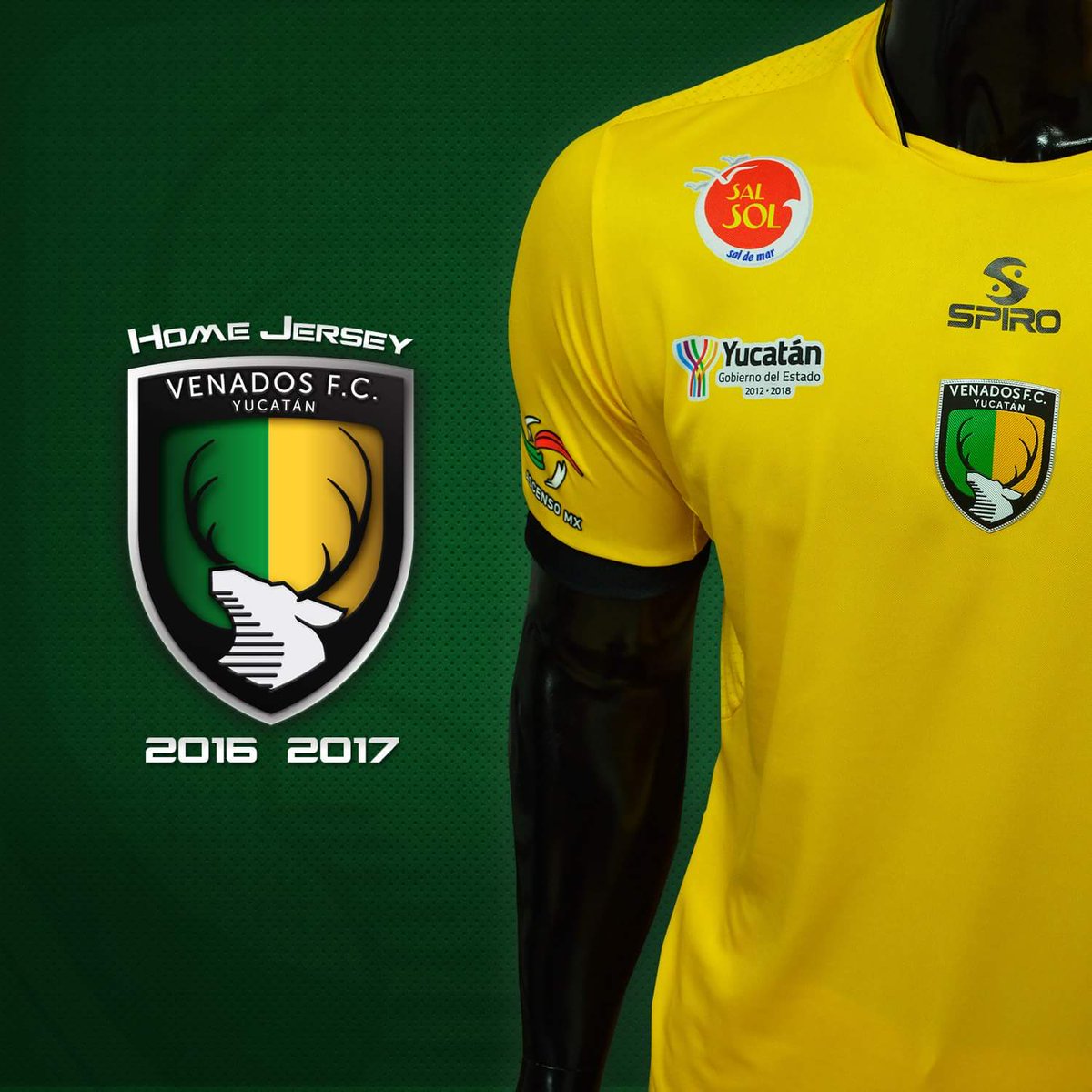 Arriba 92+ imagen club de futbol venados de yucatan👺 Sinta a adrenalina ...