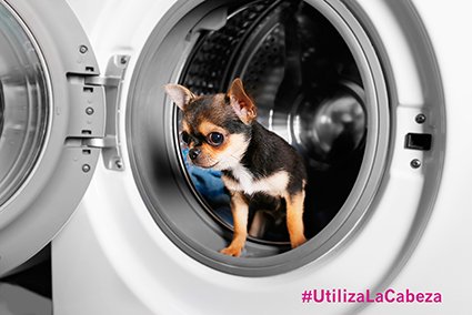 Excesivo carga Incomparable quien invento la lavadora Encogerse de ...