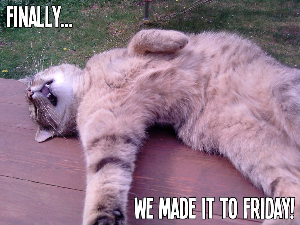 Hang in there! It's almost the weekend :) | Scoopnest