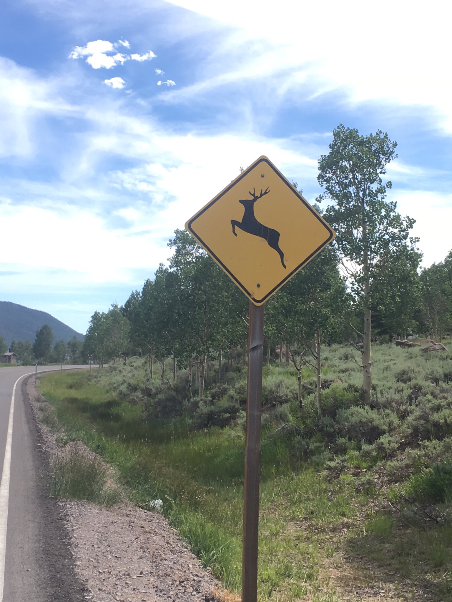 Deer Crossing Road Sign