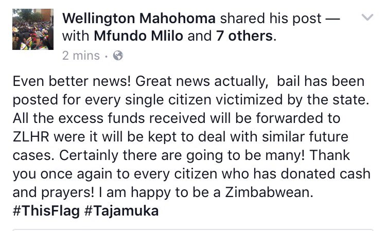 Fed up, unafraid, and just getting started: What Zimbabwe’s #ThisFlag ...