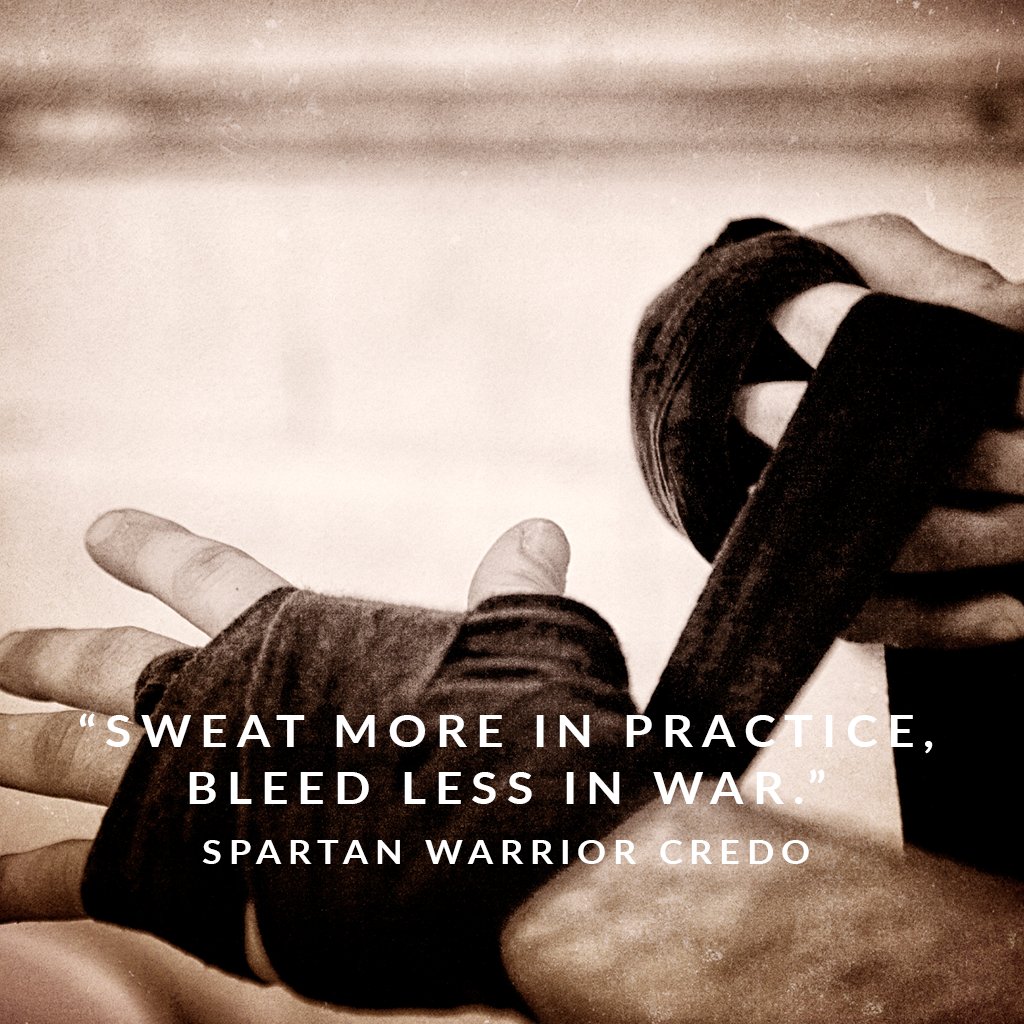 Spartan Warrior Quotes LIFE IS A QUOTATION' * – Annika Perry