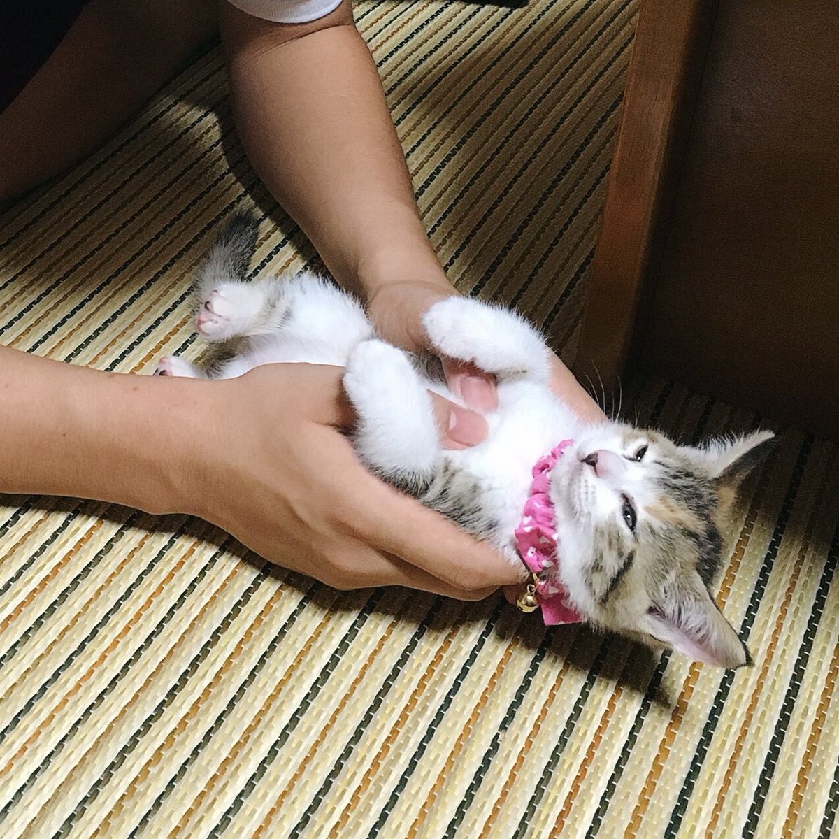 2016/12/2のRT済ツイートまとめ - posfie