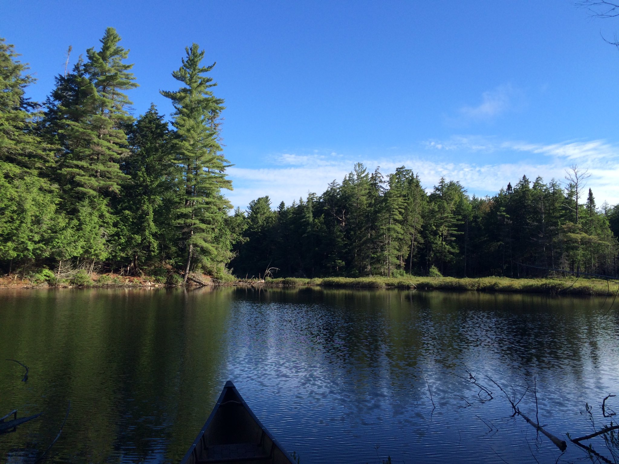 Algonquin Lakes On Twitter Panther Lake 51 Is Gorgeous But
