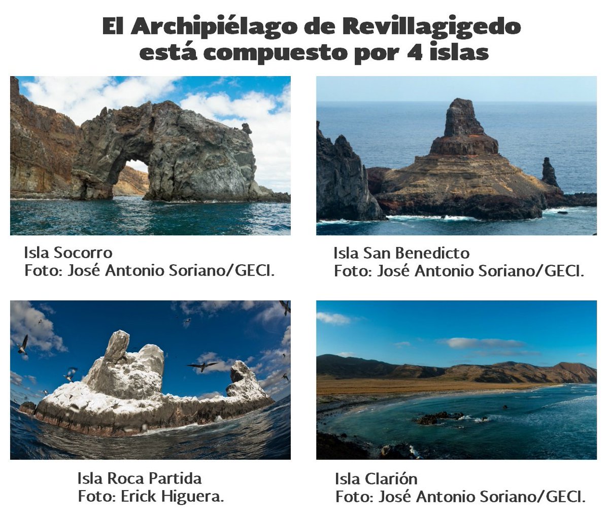 CONANP mx Archipi élago Revillagigedo compuesto Islas Socorro San ...