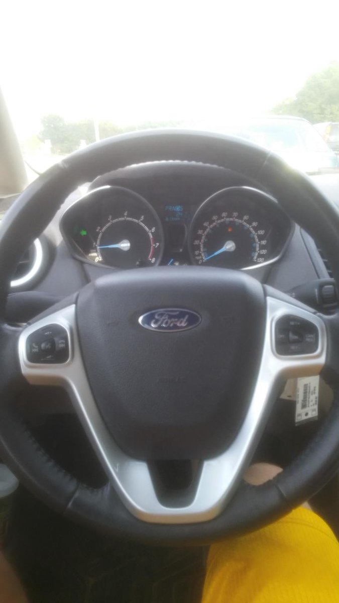 So the Ford Fiesta steering wheel looks exactly like Yoshi... | The ...