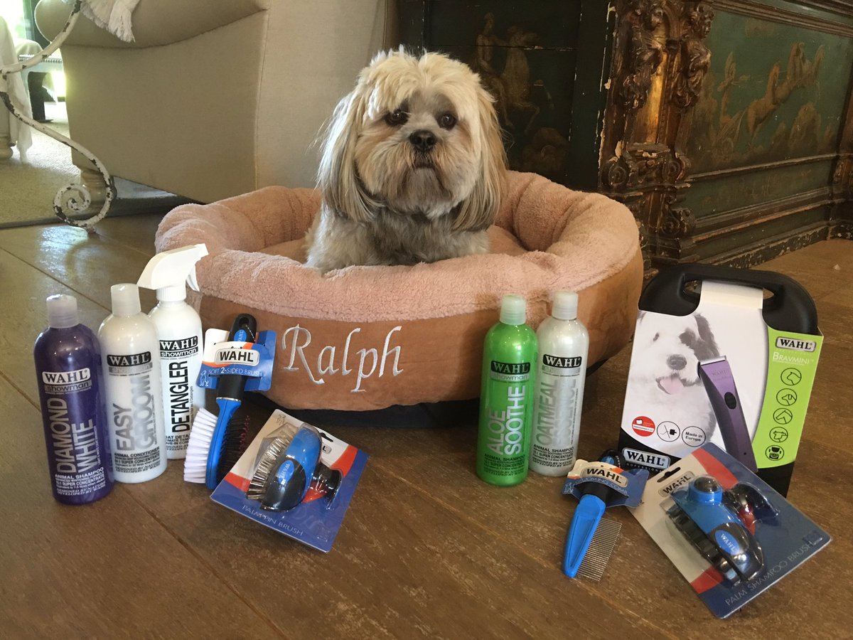 What Breed Of Dog Is James Martins Dog Ralph