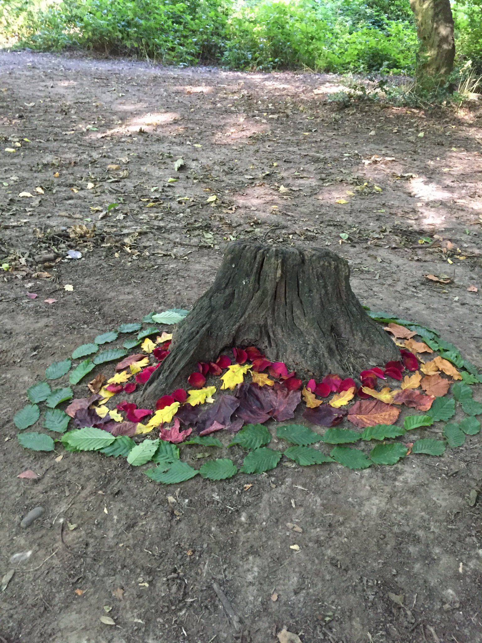 Andy Goldsworthy Inspired Art
