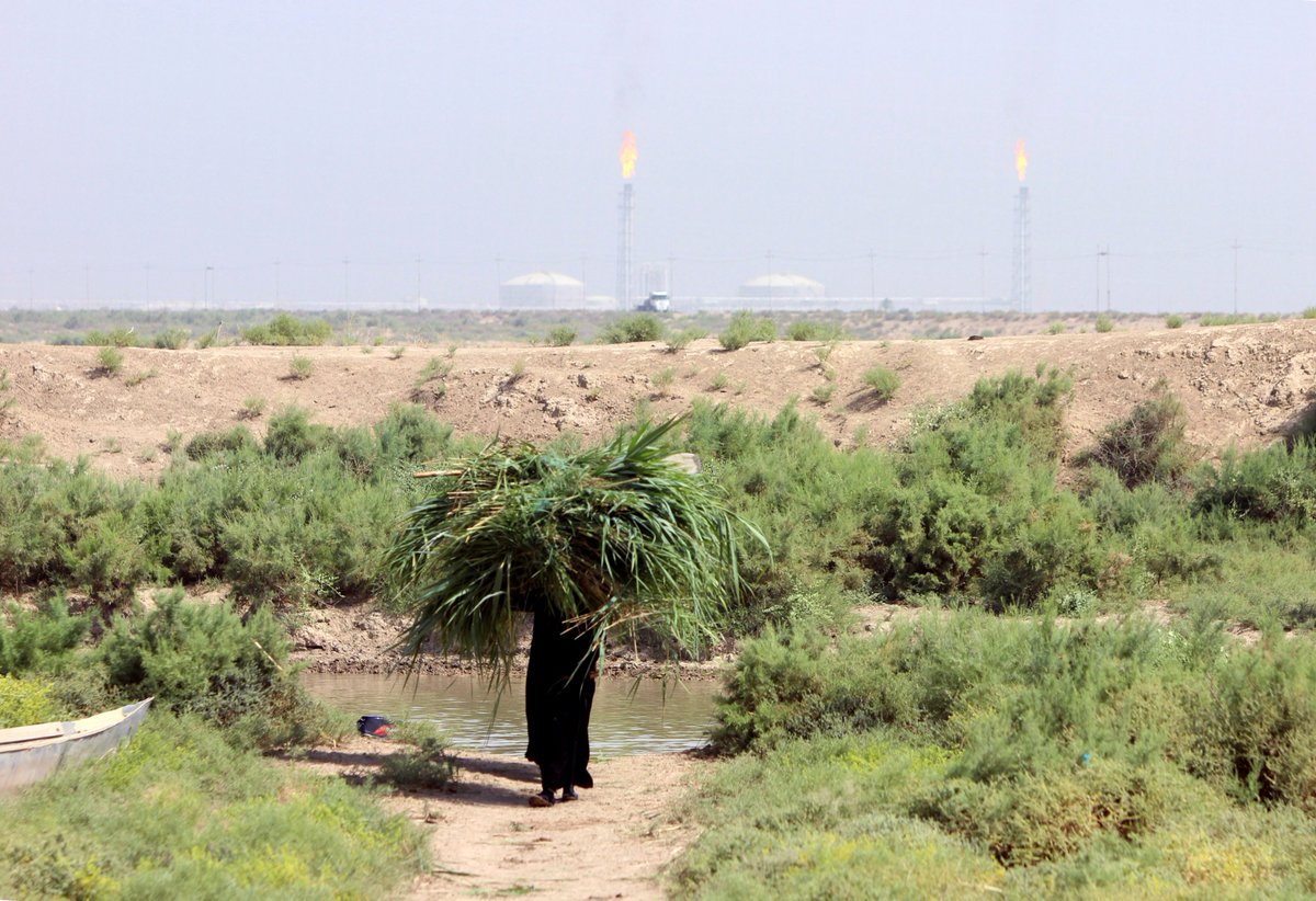 Southern iraqi marshes and archaeological sites, once drained by saddam ...