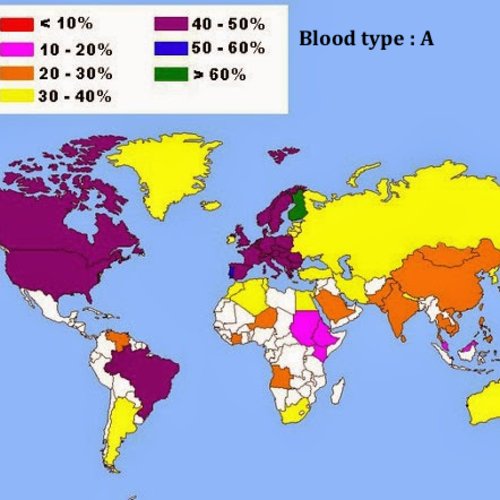 Blood Type Distribution Human Blood Types Human Blood Types Are