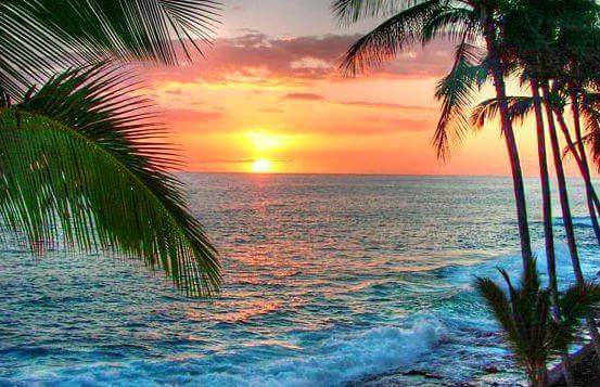 #aloha from #hawaii happy aloha saturday - scoopnest.com