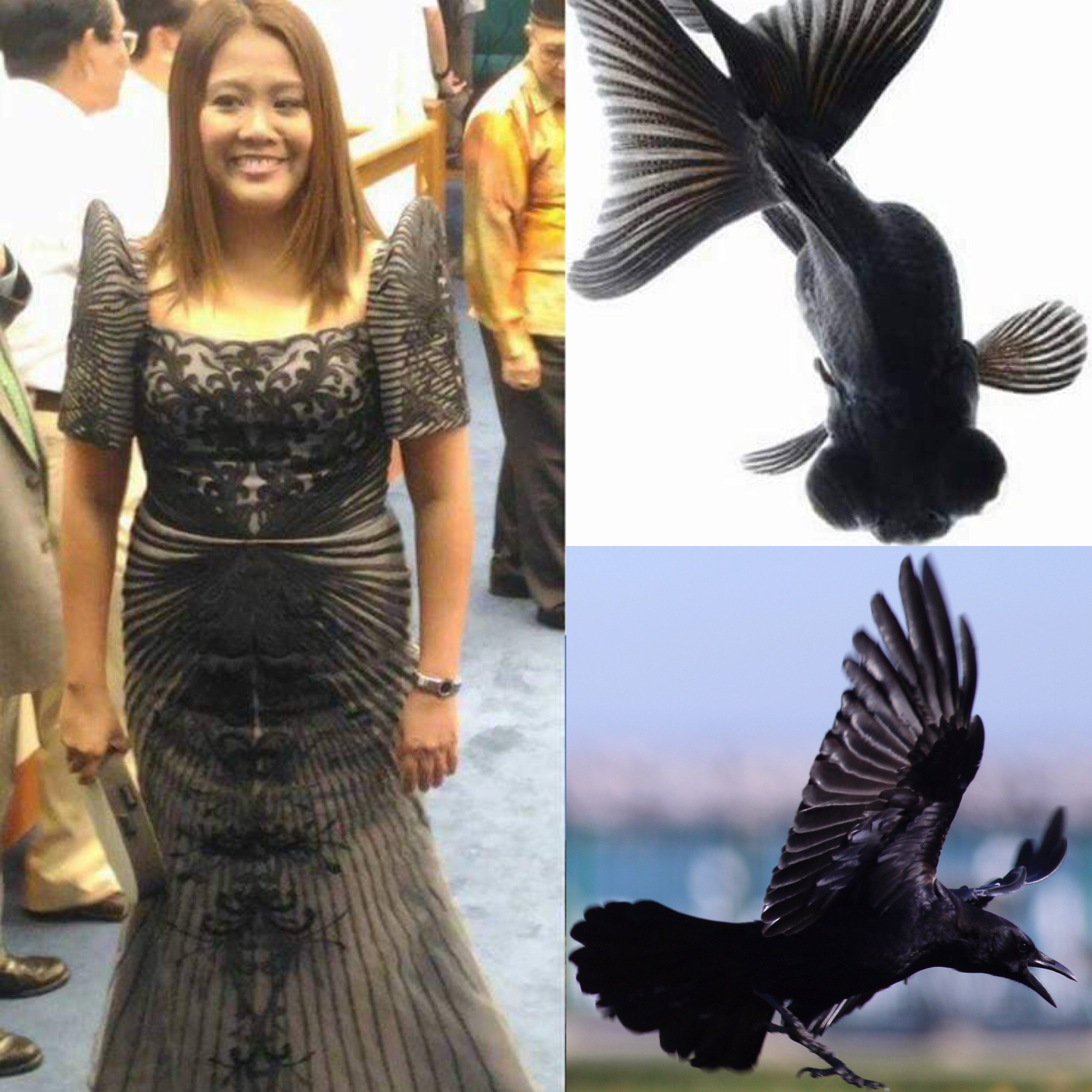 Nancy Binay Nazareno Memes