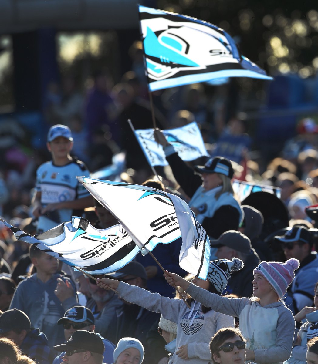 Sharks Unity (@Sharks_unity) | Twitter