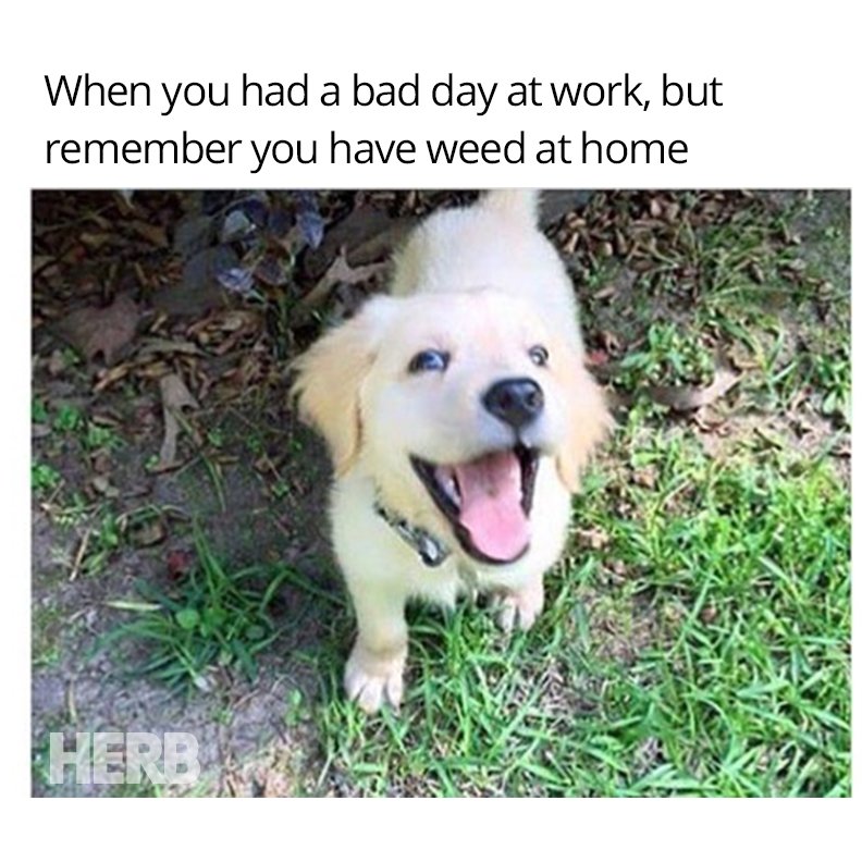 Bad Day At Work Meme