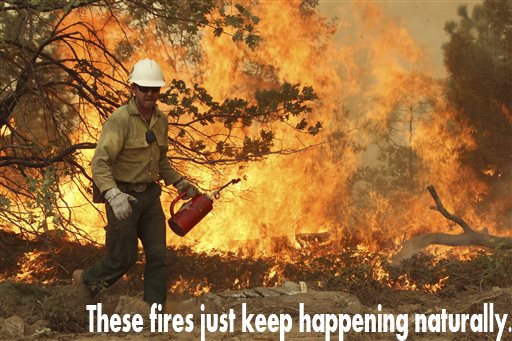 Forest Firefighter Memes