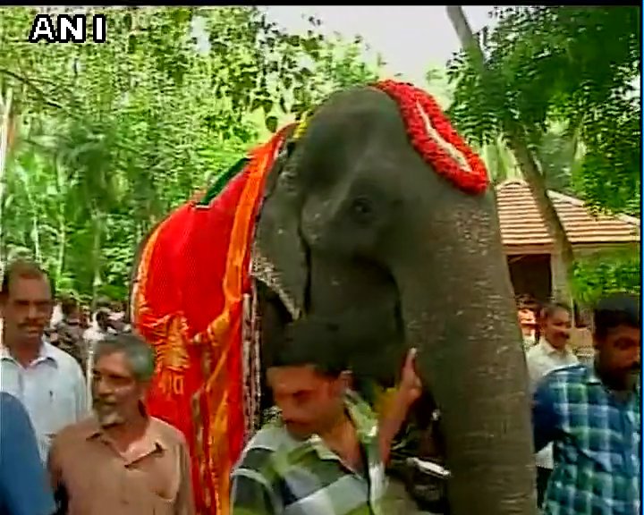 86 year old Dakshayani, who is all set to enter Guinness Records as ...