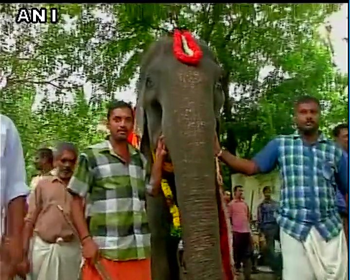 86 year old Dakshayani, who is all set to enter Guinness Records as ...