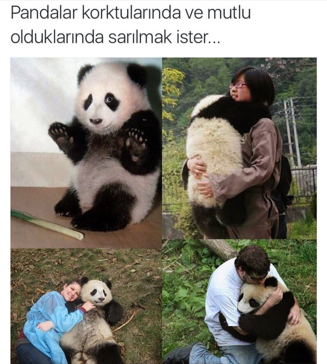 Sinem Bulut (@SineemBulut) | Twitter