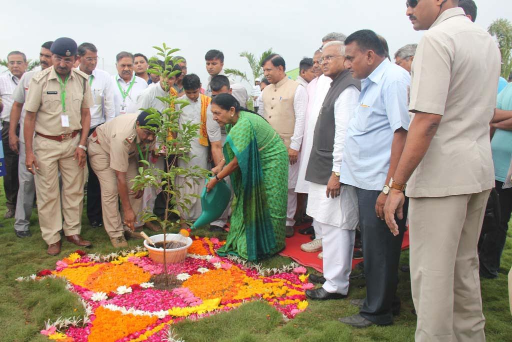 Gujarat CM dedicates Mahisagar forest being developed by Forest ...