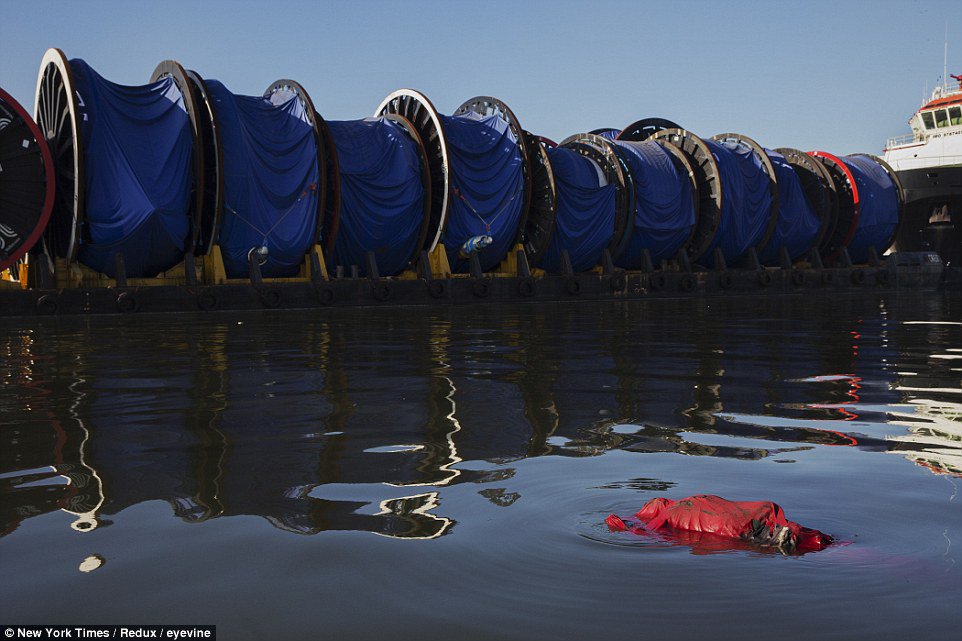 A BODY floats in the Rio bay where Olympic swimmers and sailors will ...