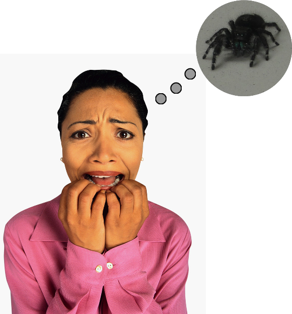 Person Scared Of Spiders