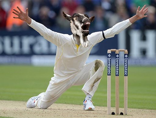 Nathan Lyon claims his 200th Test wicket... Congratulations GOAT ...