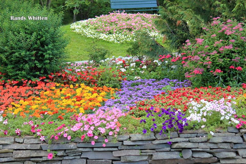 Bowring Park is beautiful any time, but especially deep into summer ...