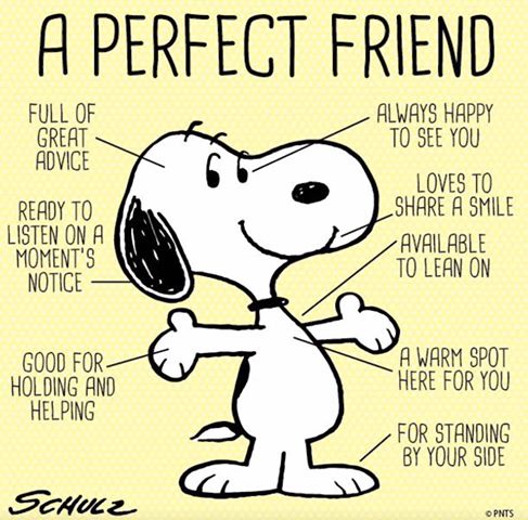 Saluting my good friends with large noses dogs friend snoopy peanuts ...