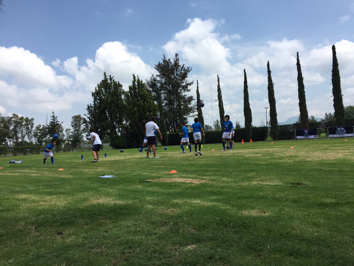 DragonForceMX (@MX_DragonForce) | Twitter