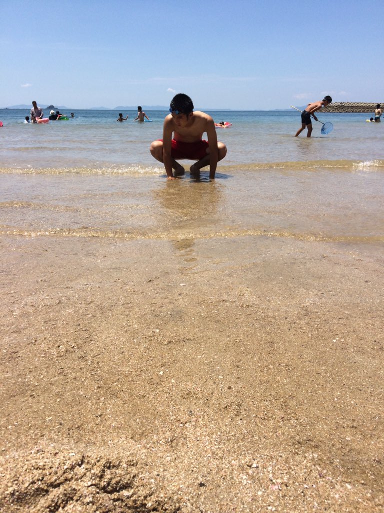 Yuto on Twitter: "伝説のポケモン！？ https://t.co/RbXL1AdjwR" / Twitter