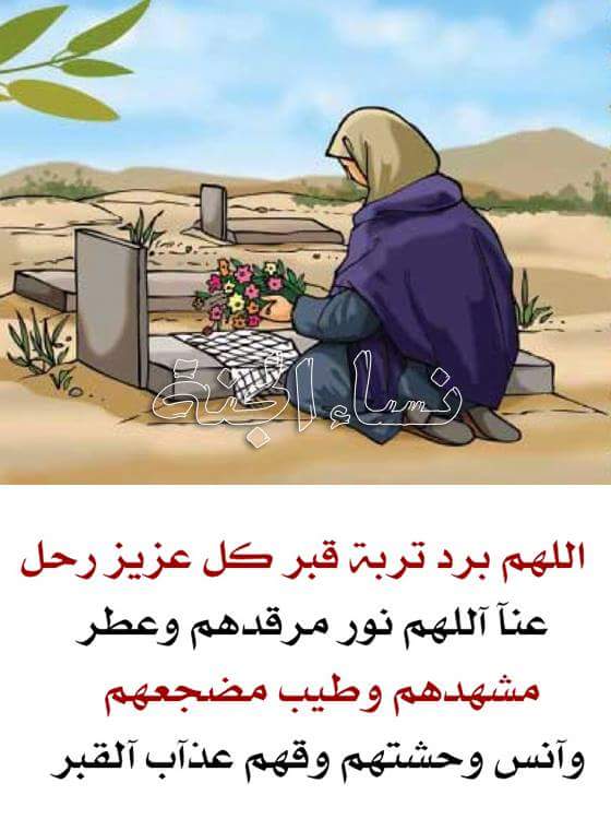 Nora Ashraf (@NoraAshraf770) | Twitter