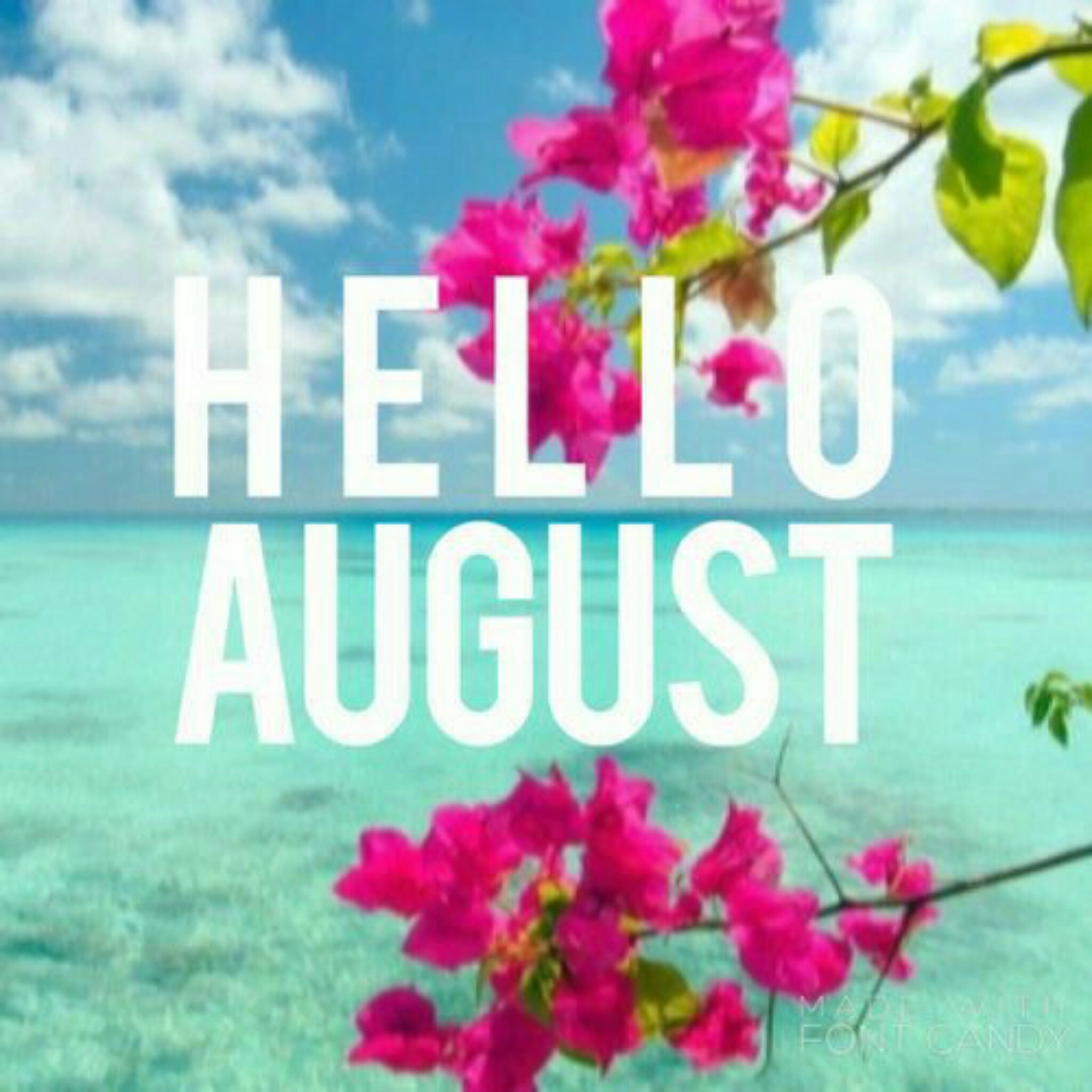 Hello August Quotes