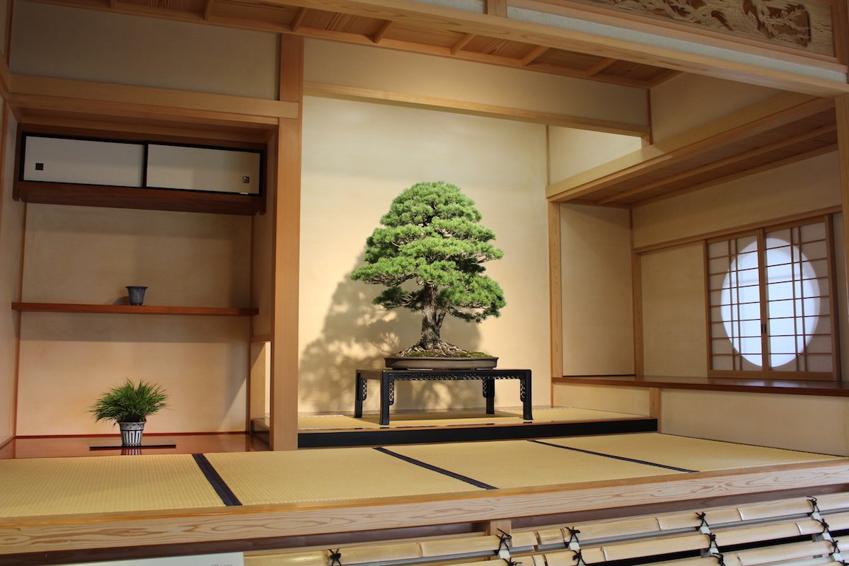 Japanese Bonsai Tokonoma