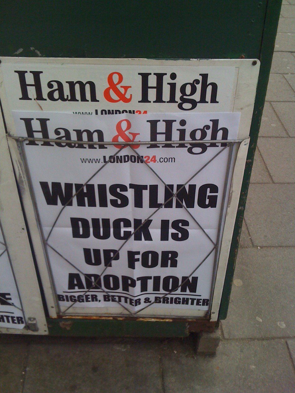 Guardian Style Guide On Twitter Stories You May Have Missed guardian-style-guide-on-twitter-stories-you-may-have-missed