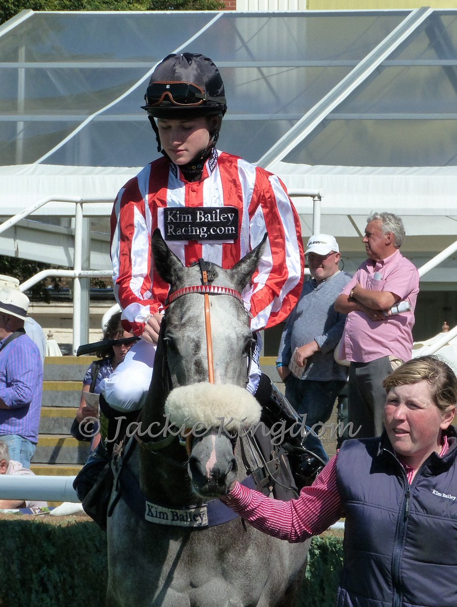 Joshua Bryan | PigeonSwoop4