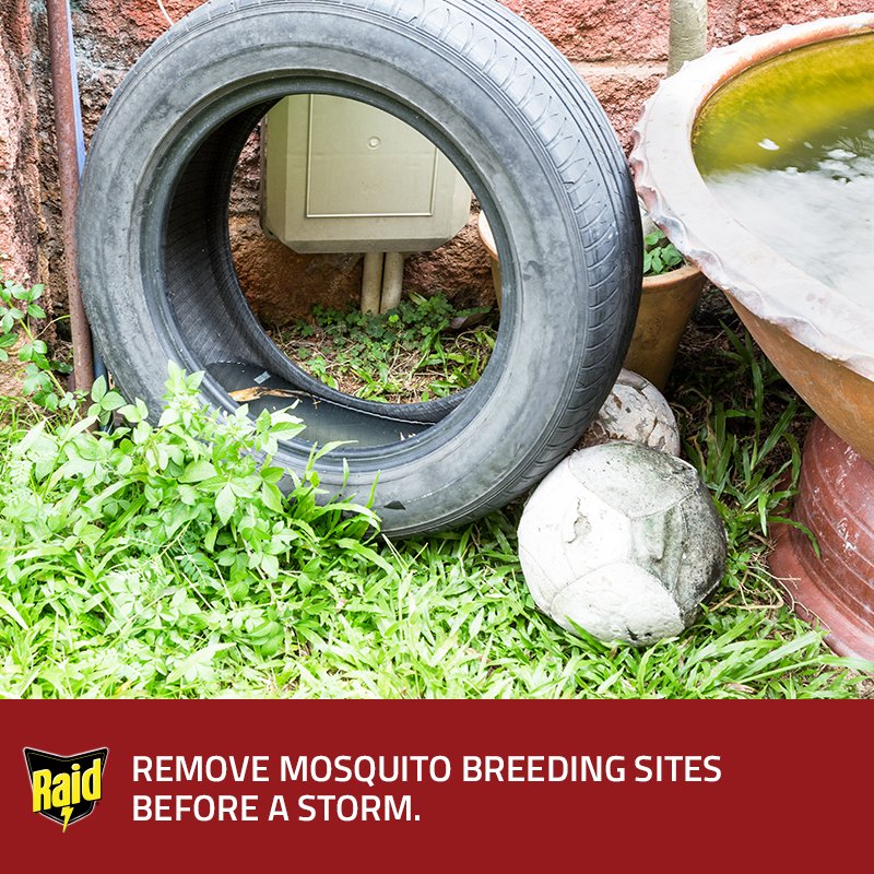 Aedes Mosquito Breeding Places